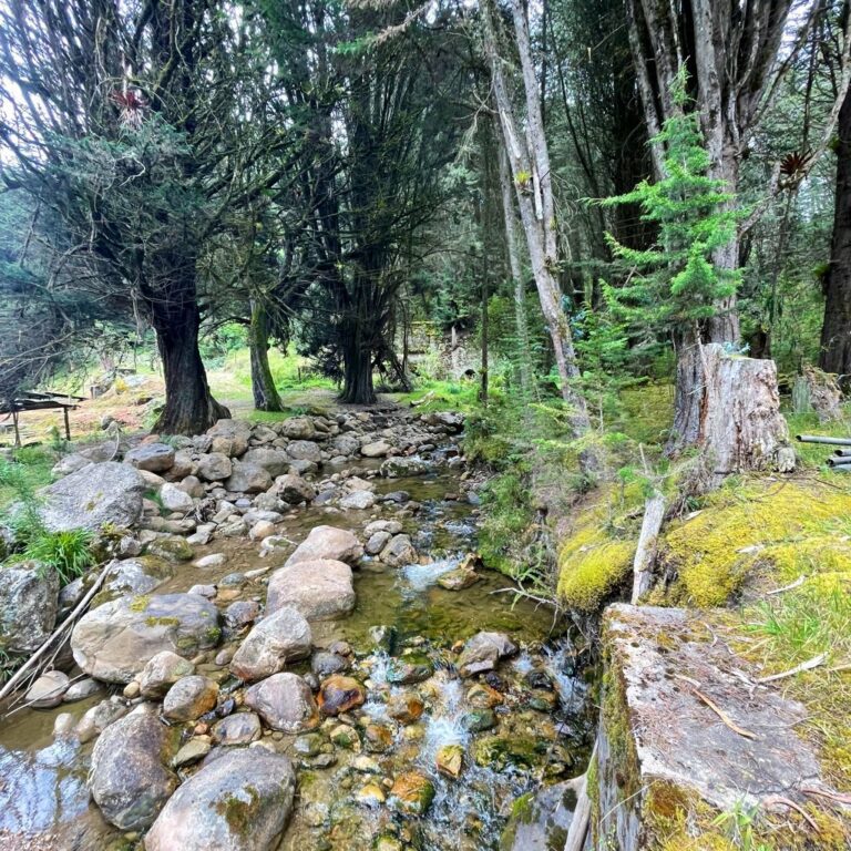 Pasos para agendar visitas en los senderos ecológicos de Bogotá – Radio ...