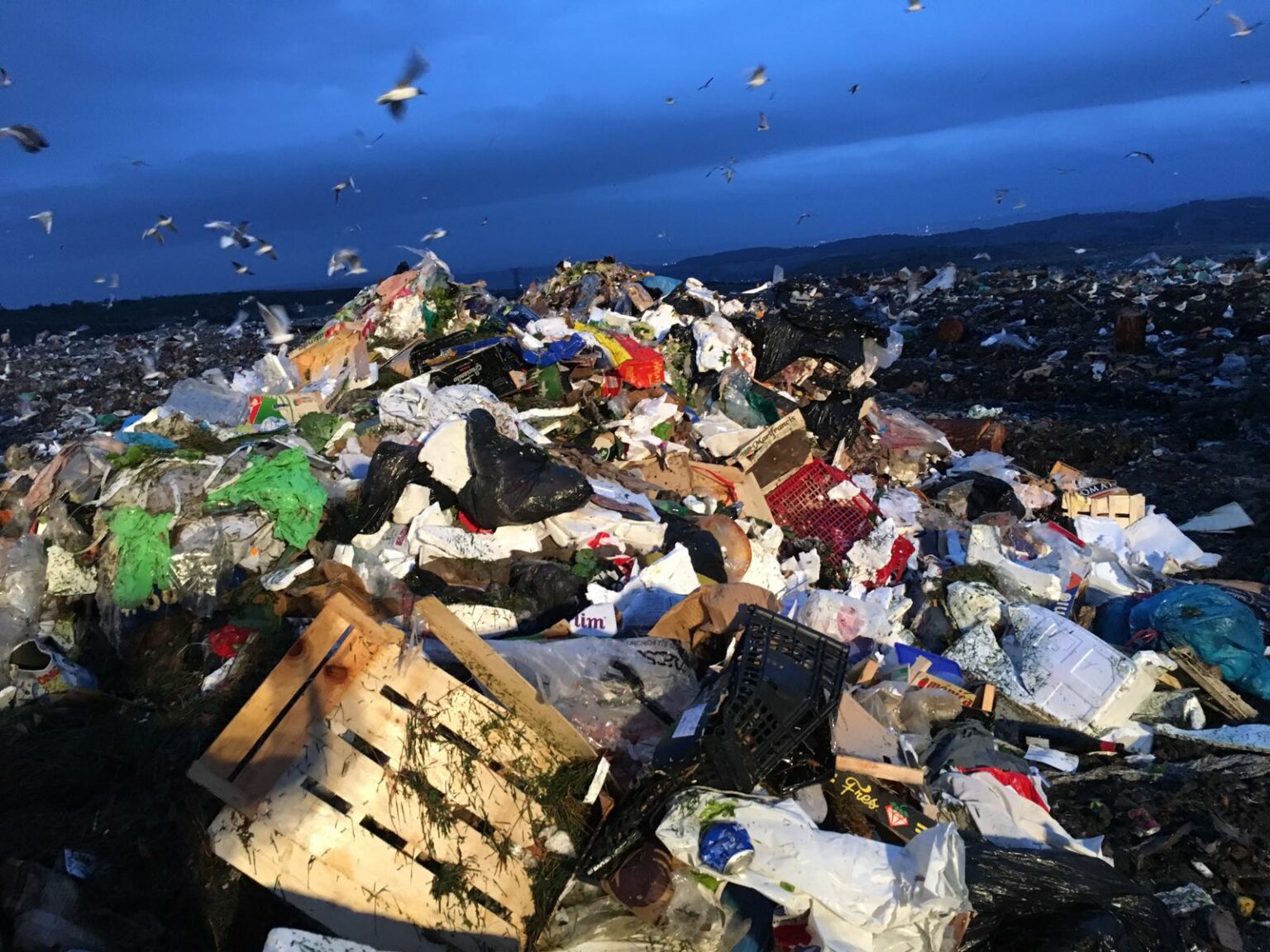 Los ríos colombianos Magdalena y el Amazonas, entre los más ...